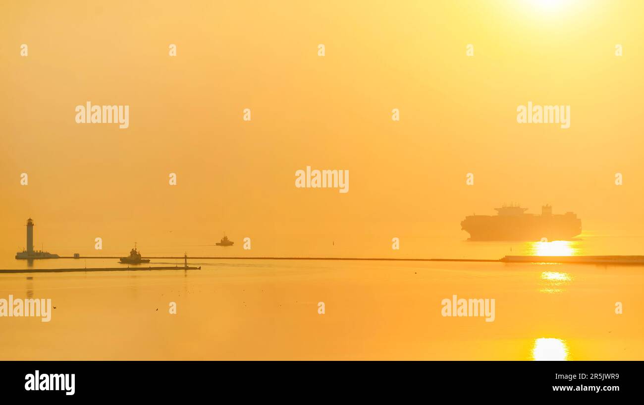 Container ship arrives a port during beautiful sunset. The ship sails ...
