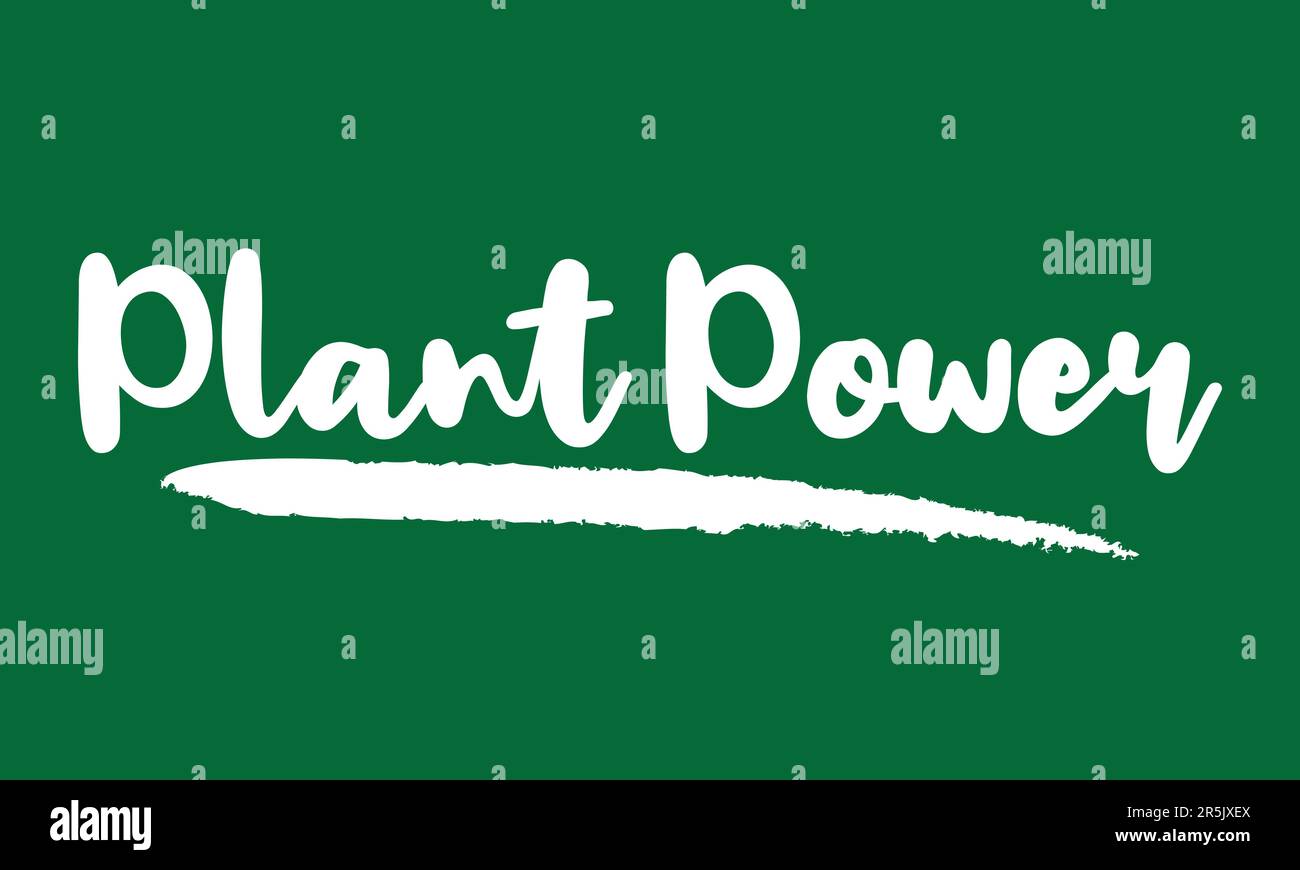 Stylish Text Typography Lettering Phrase Vector Design Stock Vector ...