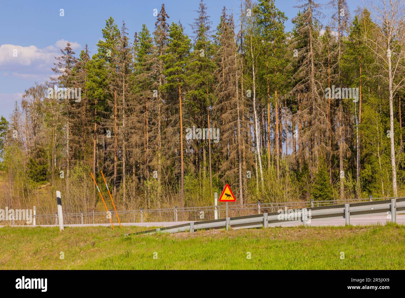 Beautiful view of traffic warning sign for wildlife on side of highway ...