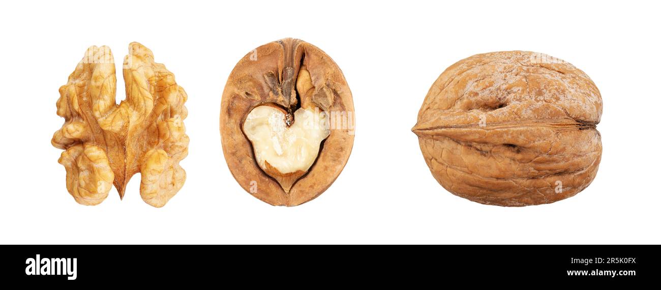 Walnut сollection. Nut isolated on white isolated on white background ...