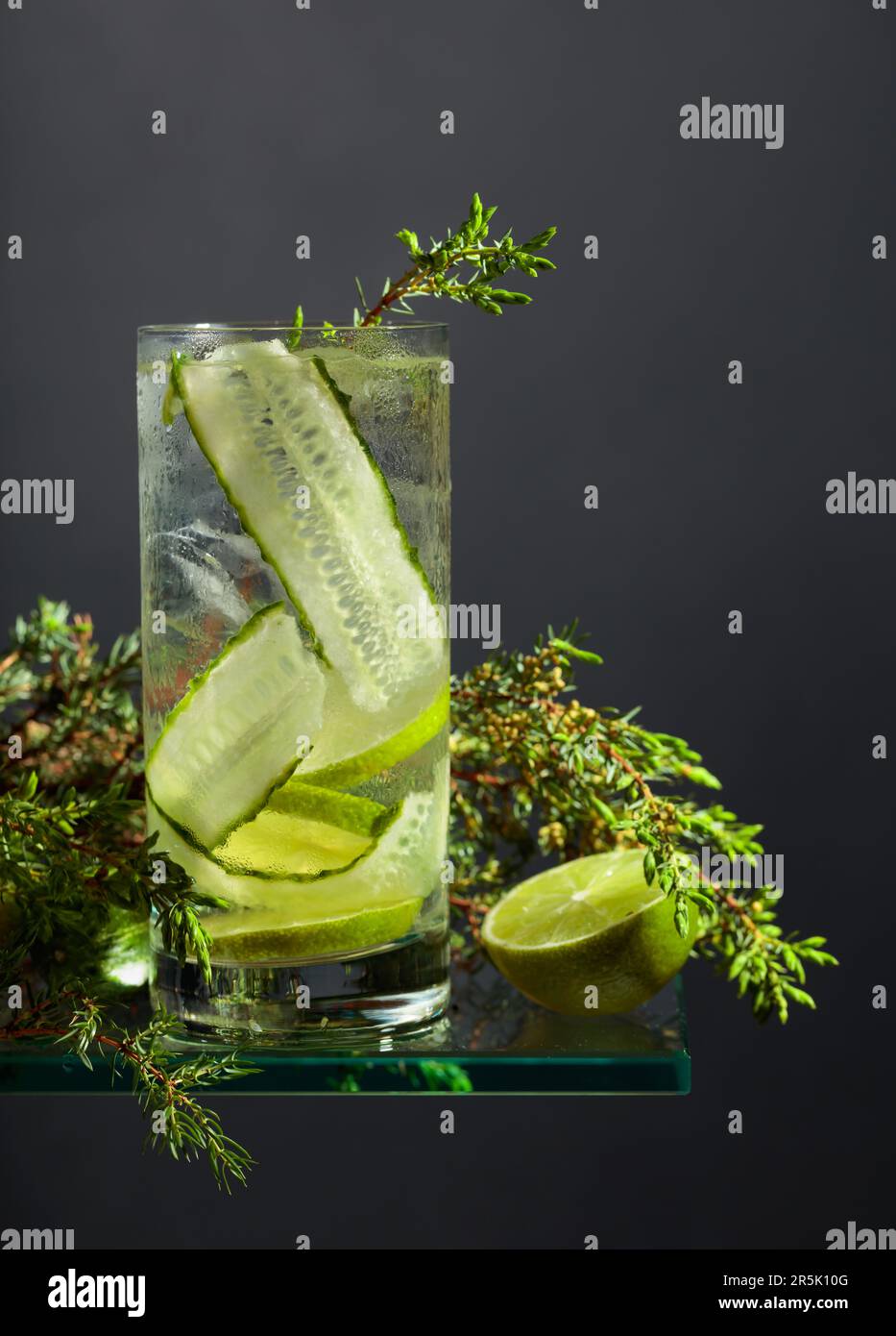 Gin and Tonic with ice, lime, cucumber, and juniper branches. Iced ...