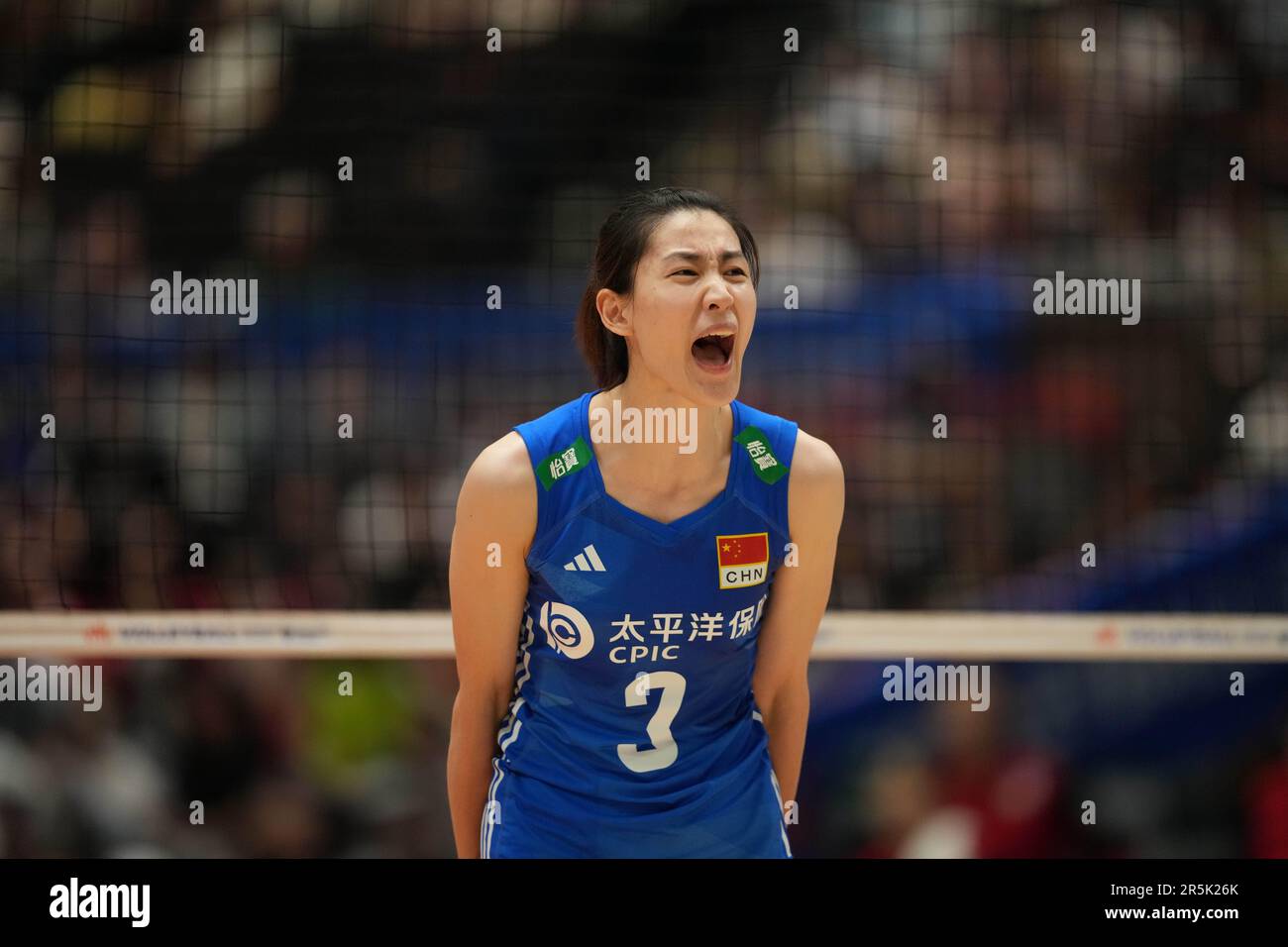 Japan Volleyball Games 2023 at Raven Goetz blog