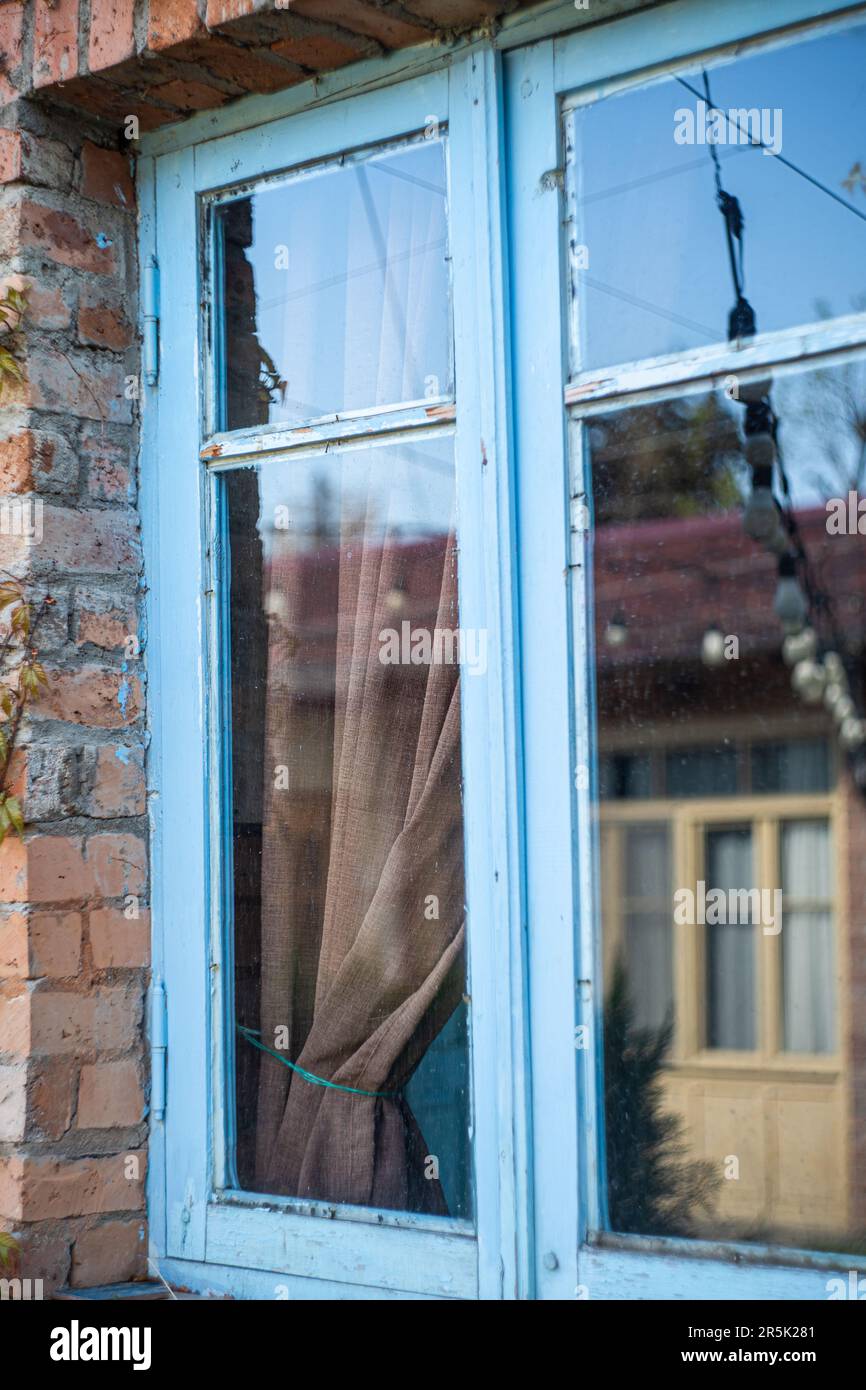 Old blue window and red brick wall covered with wild ivy grape plant ...