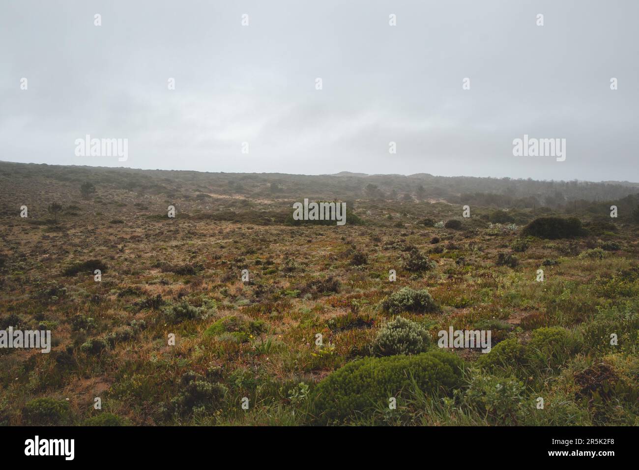 Portuguese landscape in the rainy season in the southwest of the ...