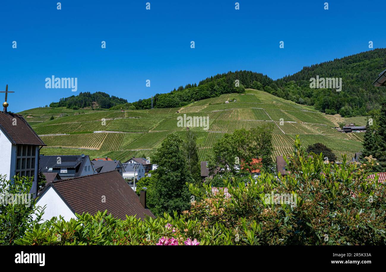 View of Kappelrodeck in the acher valley. Black Forest, Baden ...