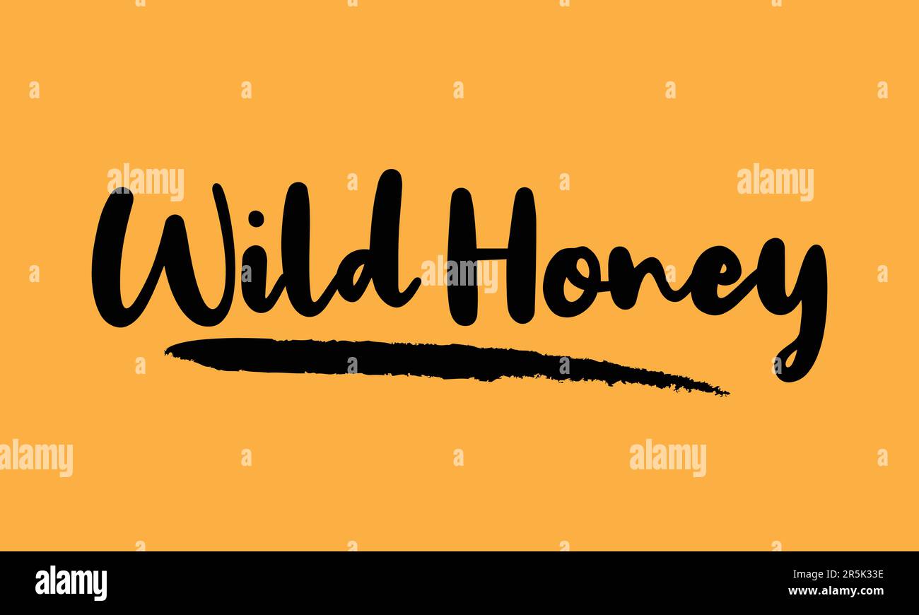 Stylish Text Typography Lettering Phrase Vector Design Stock Vector ...