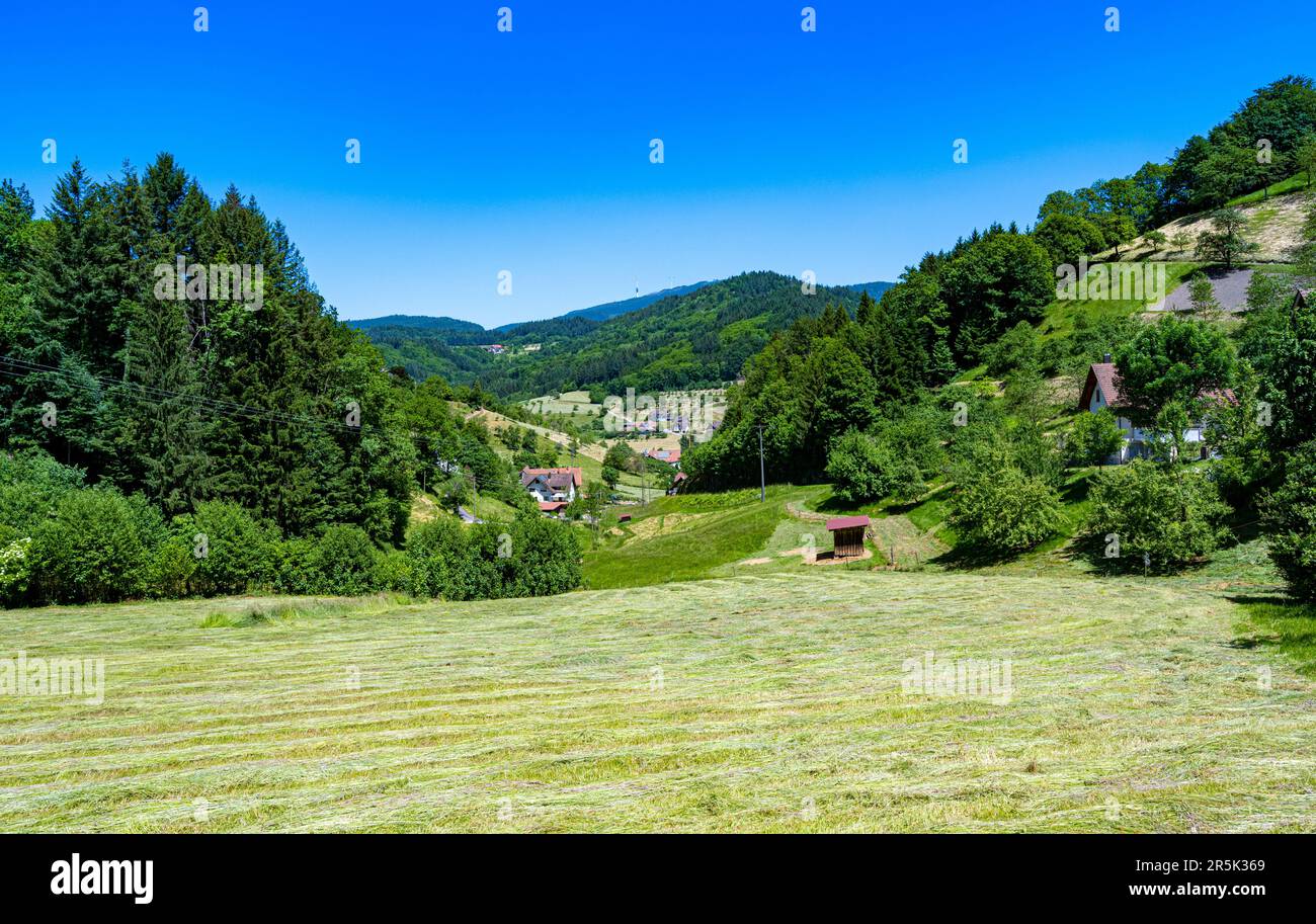 View of Ottenhoefen in the acher valley. Black Forest, Baden ...