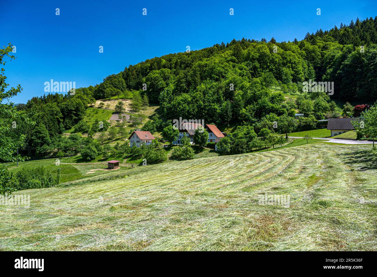 Acher hi-res stock photography and images - Alamy