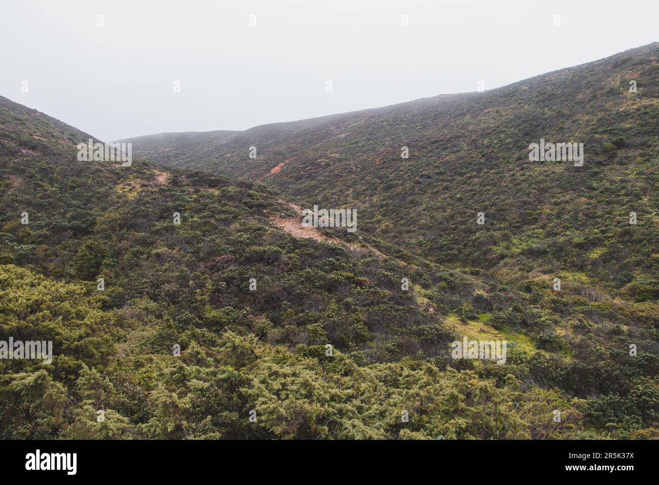 Portuguese landscape in the rainy season in the southwest of the ...