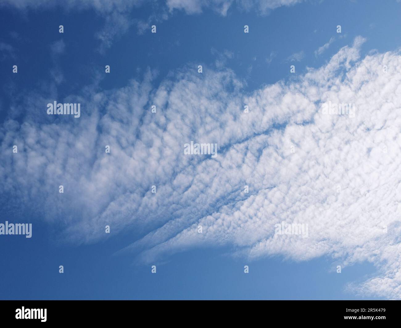 Cirrocumulus clouds are thin, sometimes patchy, sheet-like clouds. They ...