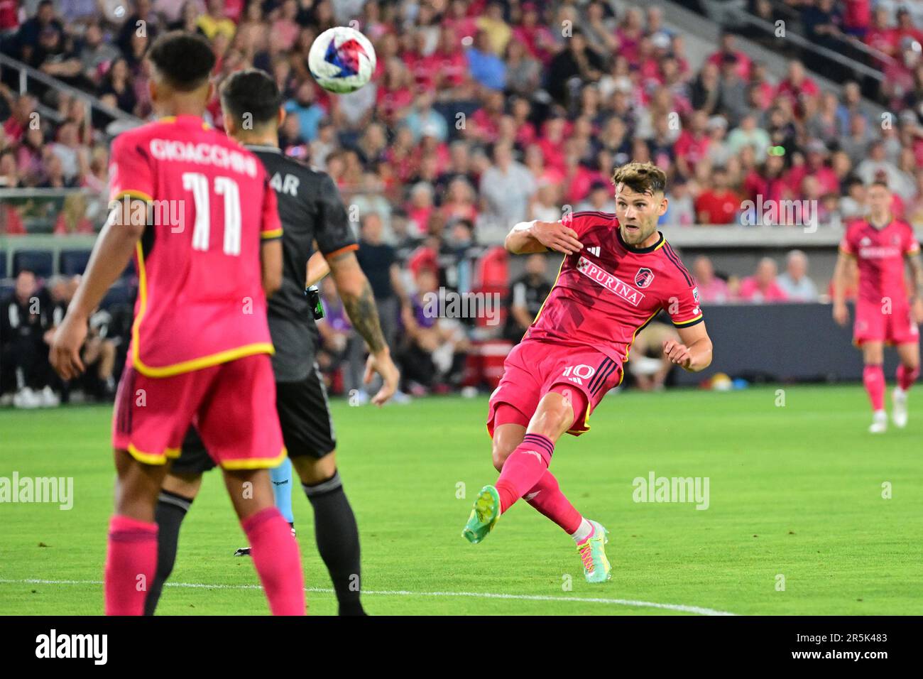 Löwen louis hi-res stock photography and images - Alamy