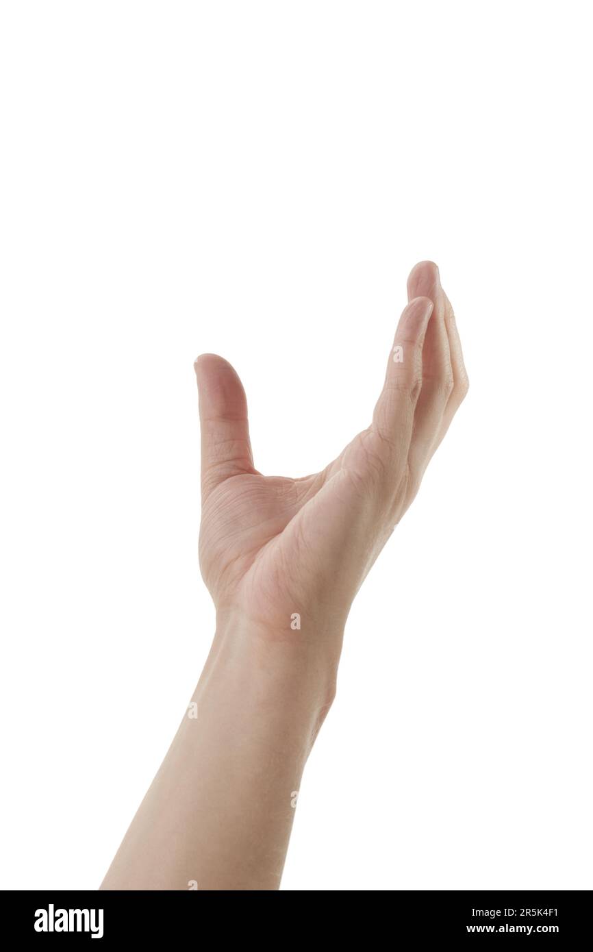 Man hand to hold something isolated on white background, photo for ...