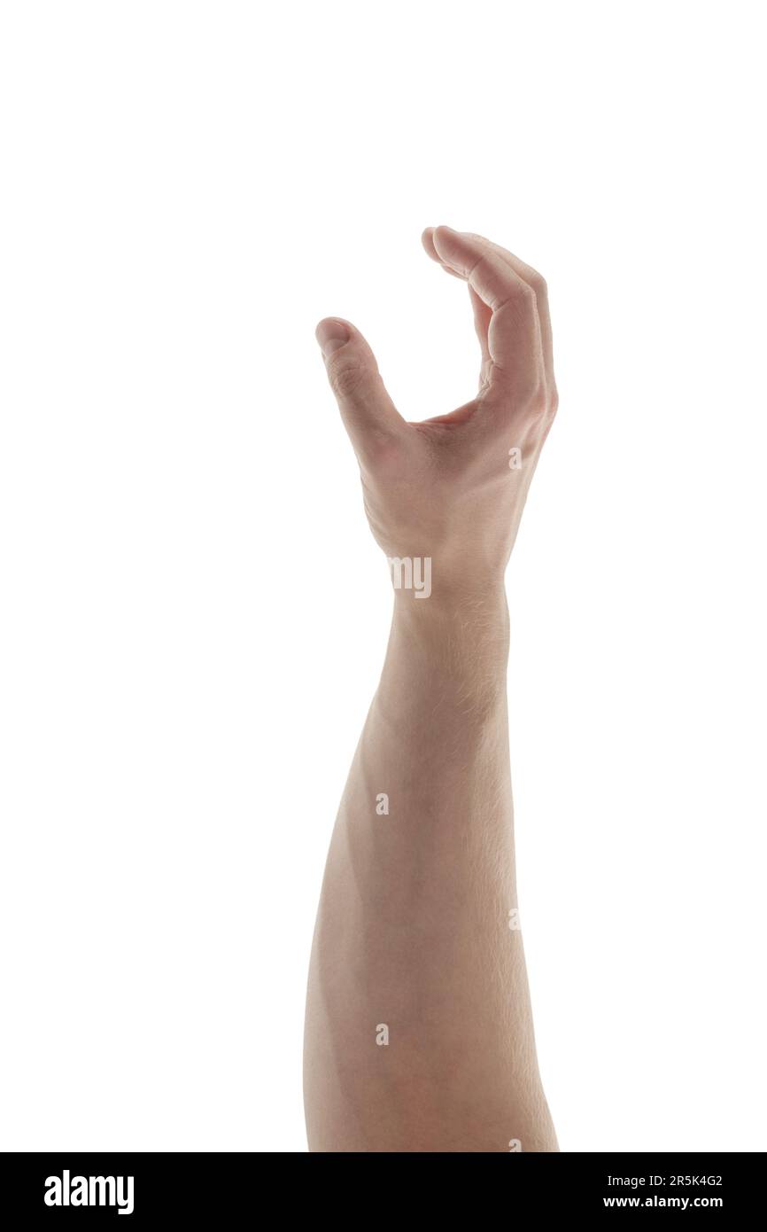 Man hand to grab something isolated on white background, photo for ...