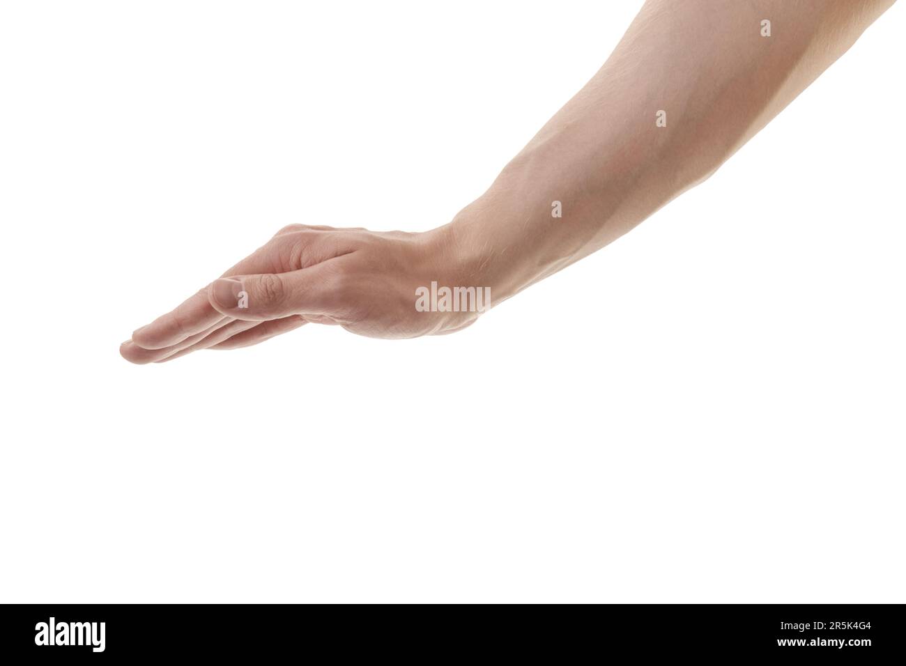 Man hand to protecting something isolated on white background, photo ...