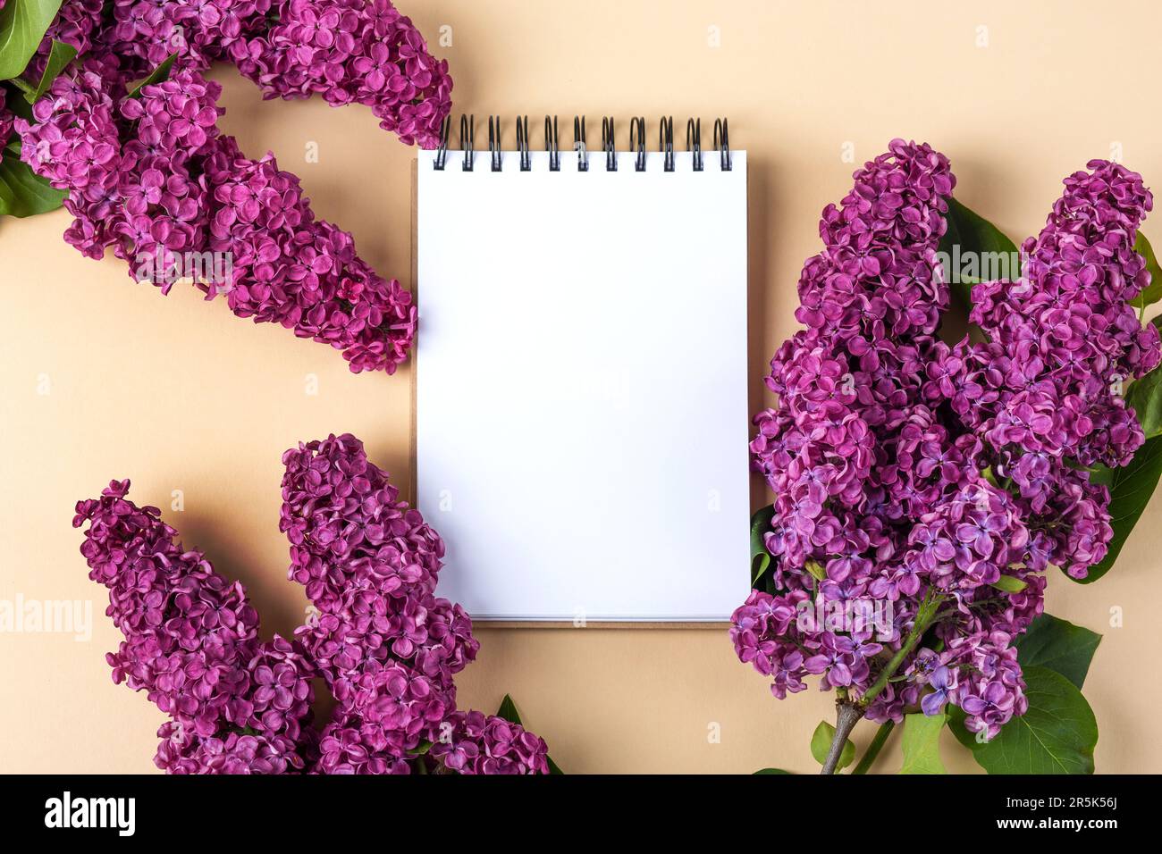 Notebook with clean page with spring purple lilac flowers on orange ...