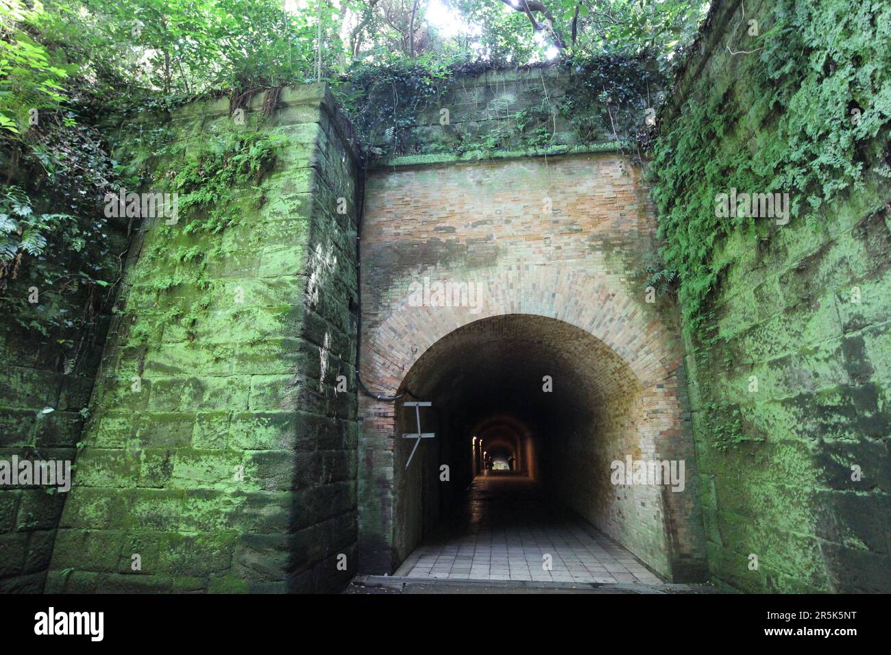 Fort Ruins in Sarushima Island, Yokosuka, Japan Stock Photo - Alamy