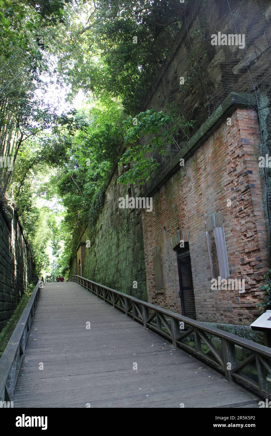 Fort Ruins in Sarushima Island, Yokosuka, Japan Stock Photo - Alamy