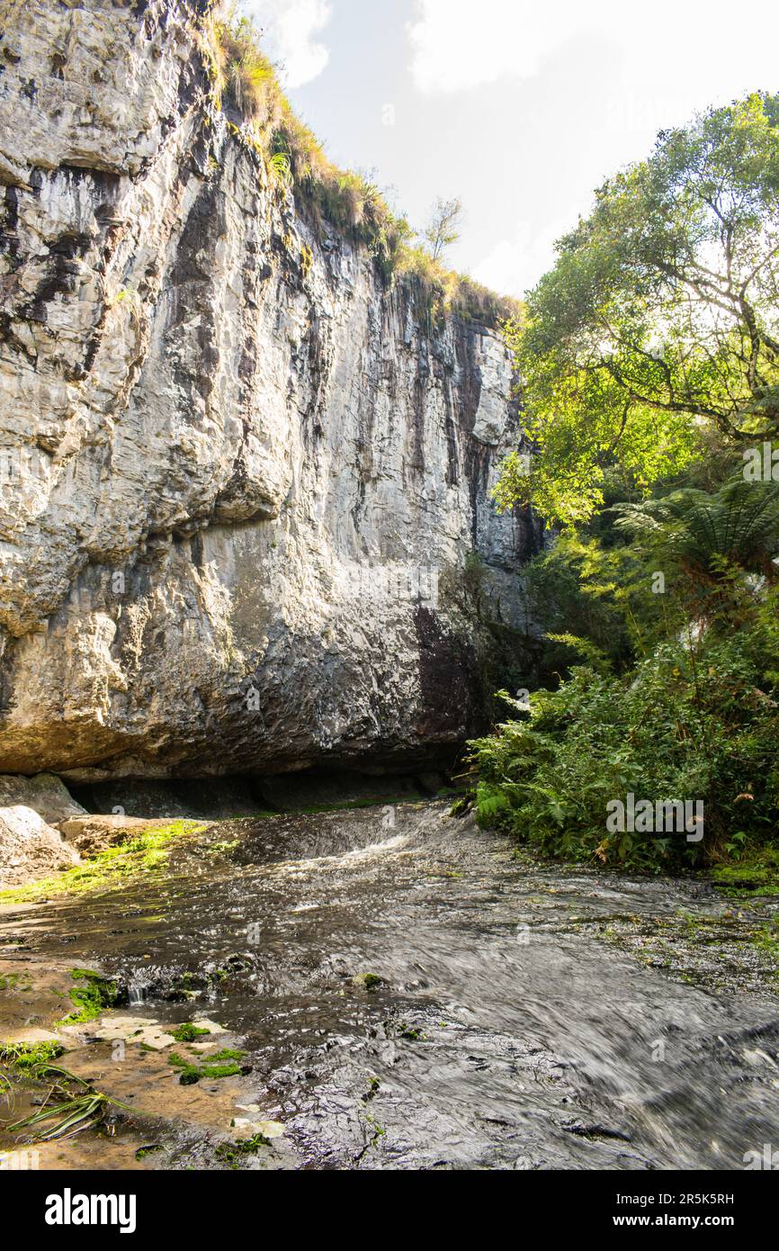 Creek by the Roda waterfall at the Ronda Municipal Natural Park in Sao ...