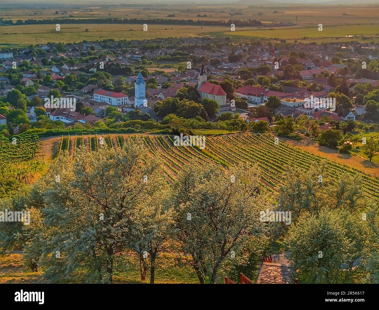 Tokaji hi-res stock photography and images - Alamy