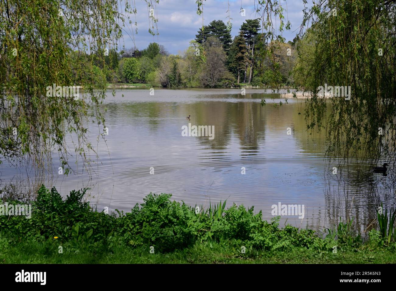 The lake at Hever Castle and Gardens, Kent Stock Photo - Alamy
