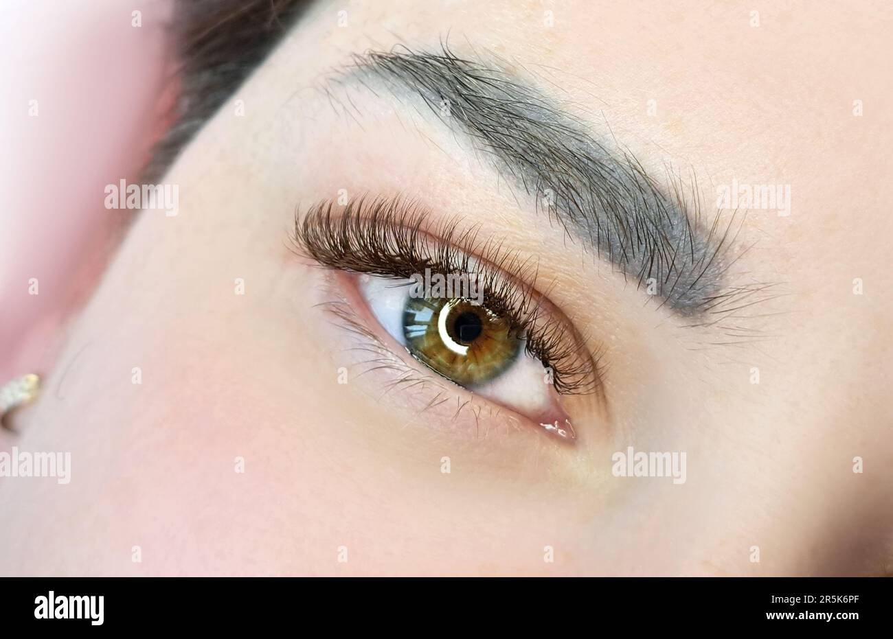 close up of eyelash extensions in beauty salon macro eye.2d,3d ,russian ...