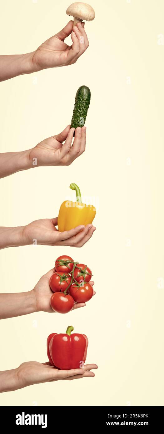 colorful assorted organic vegetables in hand isolated on white ...