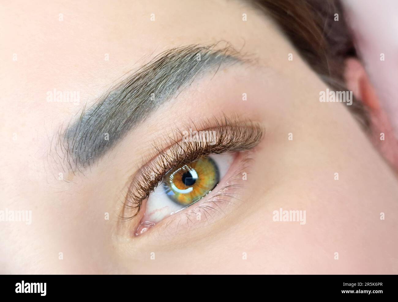 close up of eyelash extensions in beauty salon macro eye.2d,3d ,russian ...