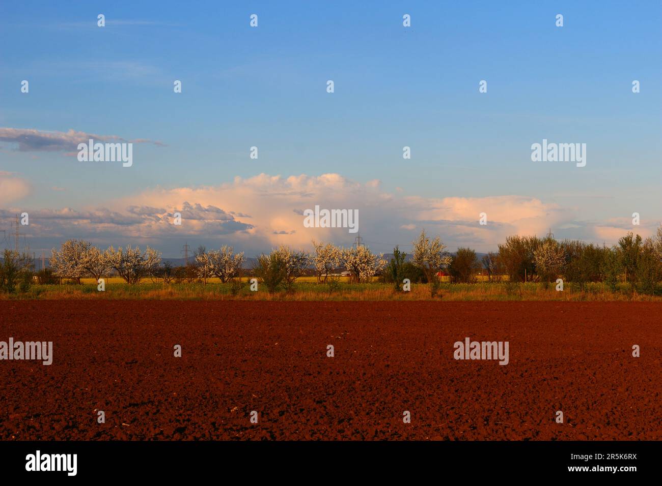 Cowboy grains hi-res stock photography and images - Alamy
