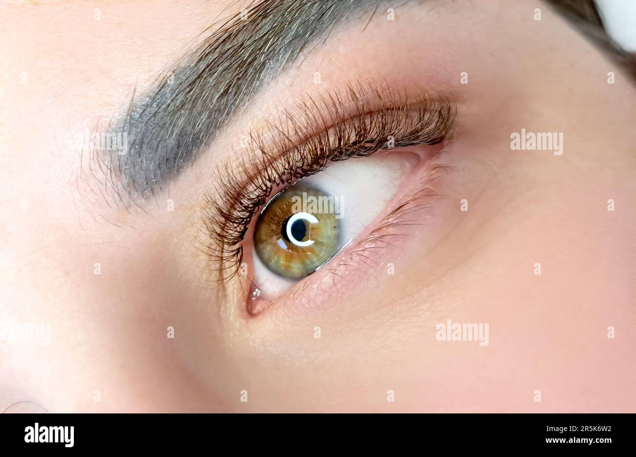 close up of eyelash extensions in beauty salon macro eye.2d,3d ,russian ...