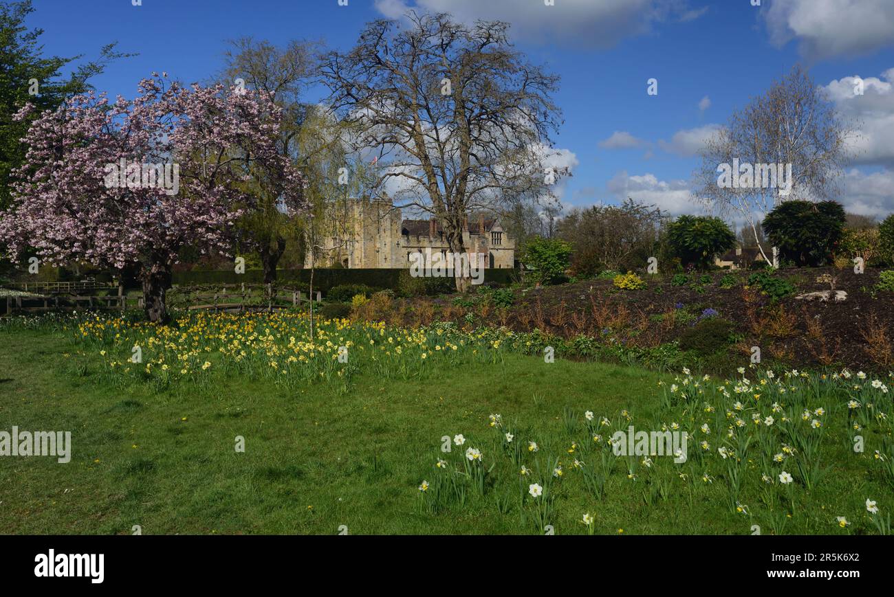 Spring flowers in the gardens at Hever Castle, Kent, the childhood home ...