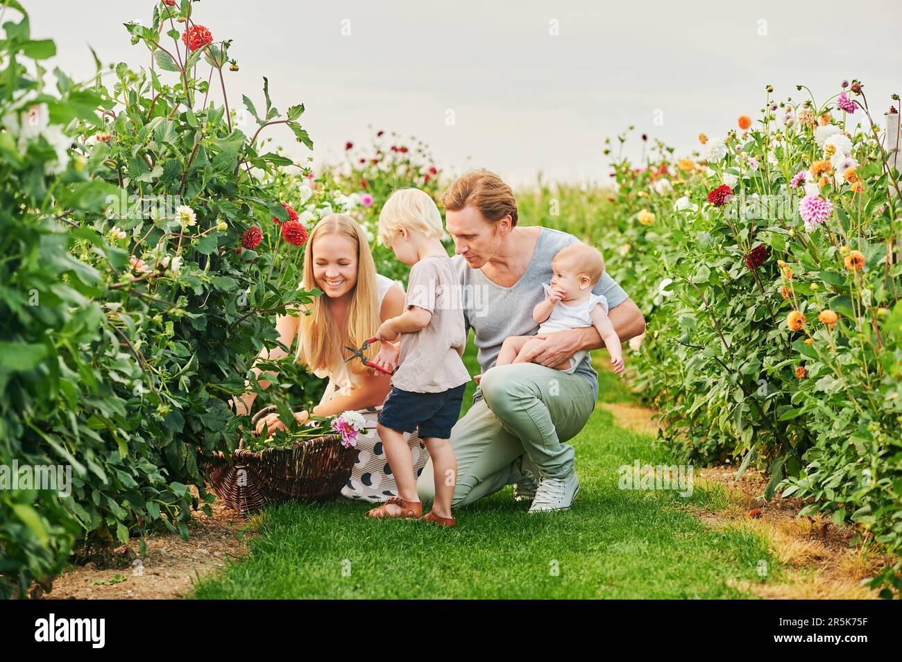 Boy picking flowers hi-res stock photography and images - Alamy