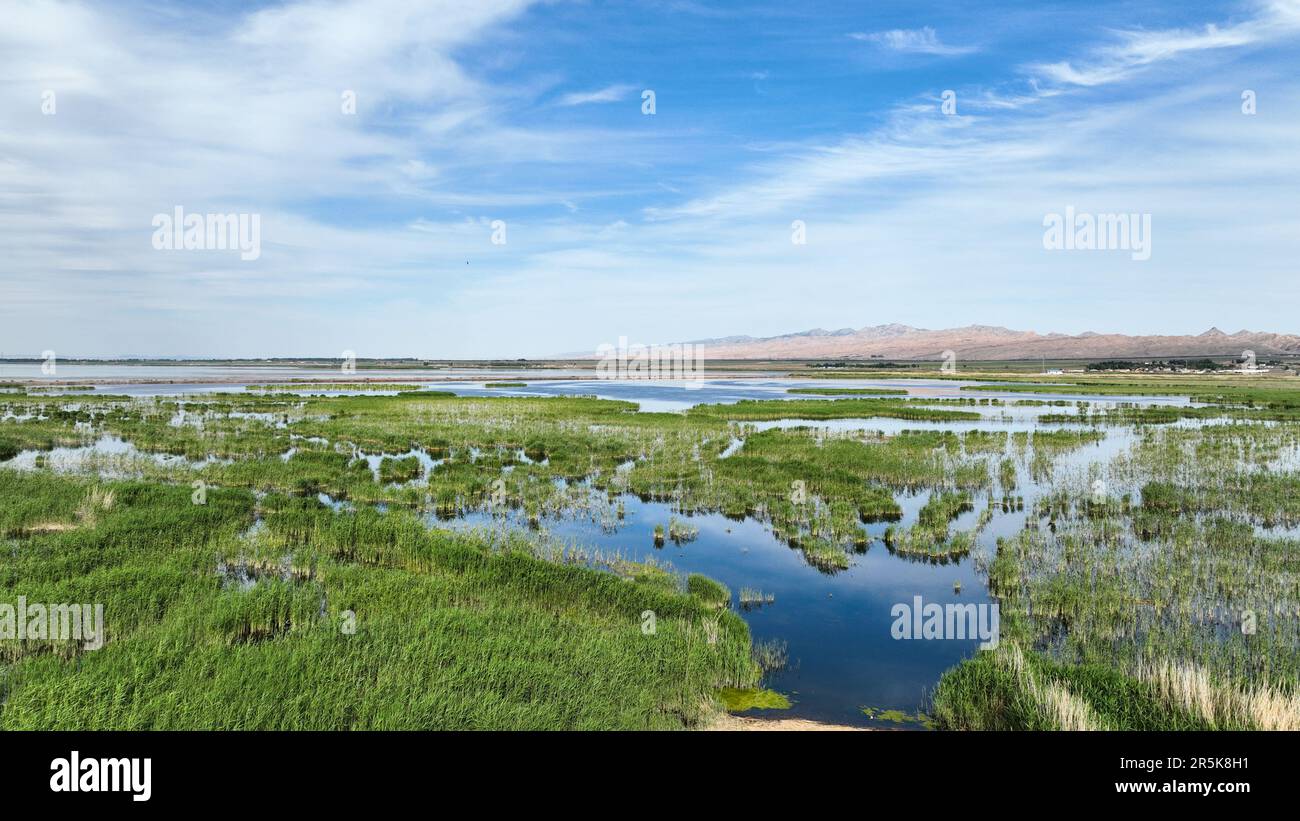 Bayannur. 4th June, 2023. This aerial photo taken on June 4, 2023 shows ...