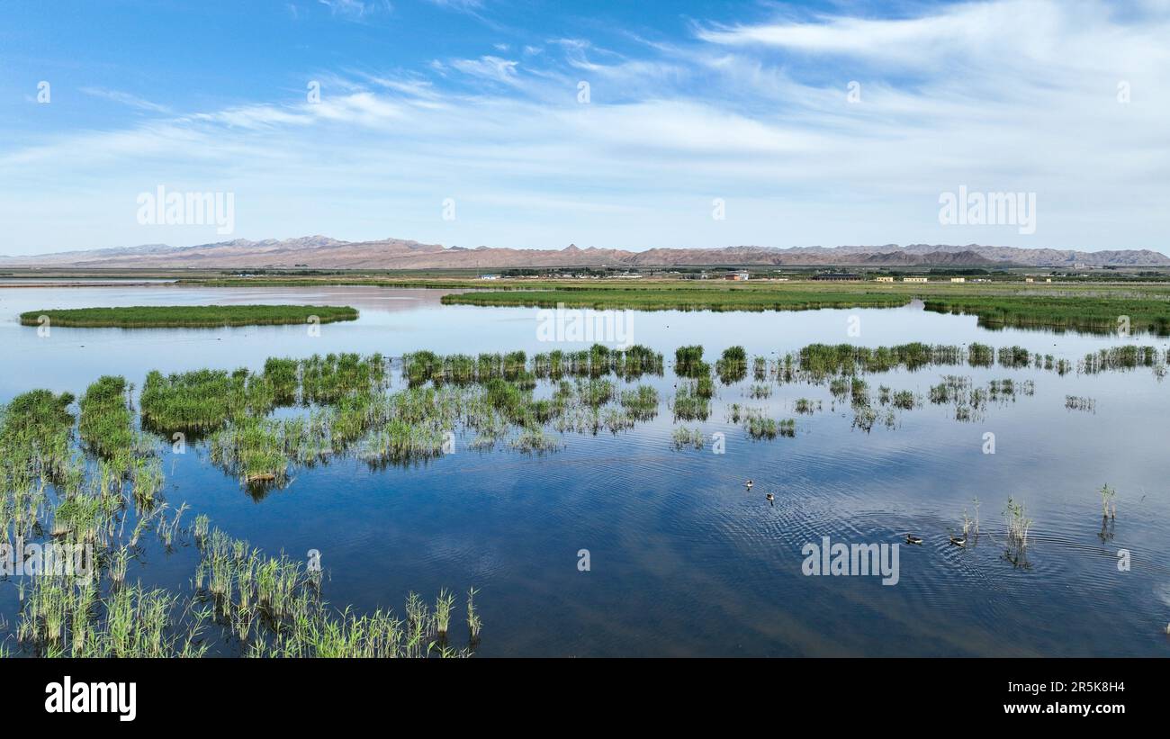 Bayannur. 4th June, 2023. This aerial photo taken on June 4, 2023 shows ...