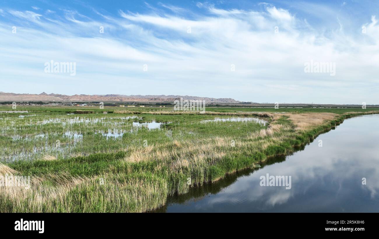 Bayannur. 4th June, 2023. This aerial photo taken on June 4, 2023 shows ...