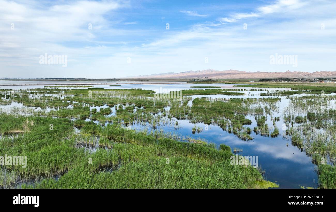 Bayannur. 4th June, 2023. This aerial photo taken on June 4, 2023 shows ...