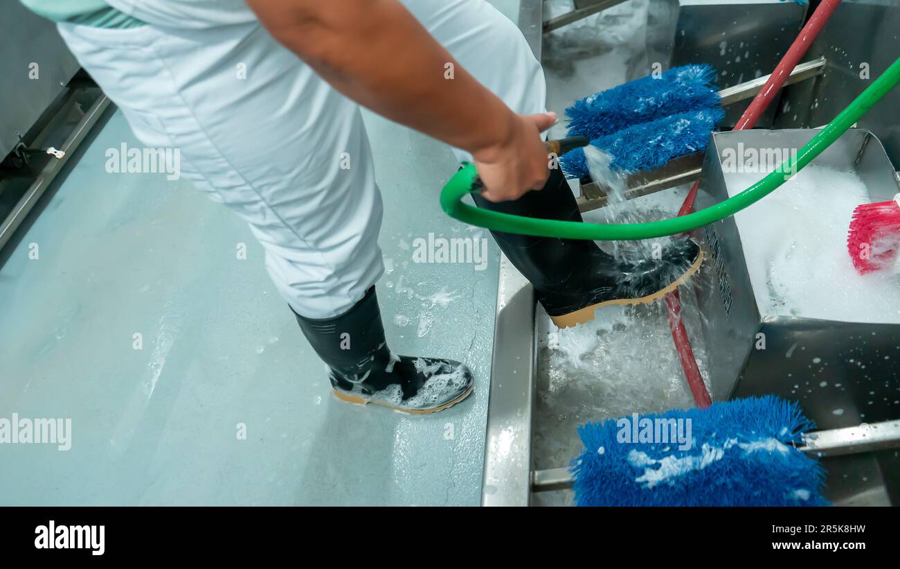 Slaughterhouse employee washing her boots to ensure beef safety Stock ...