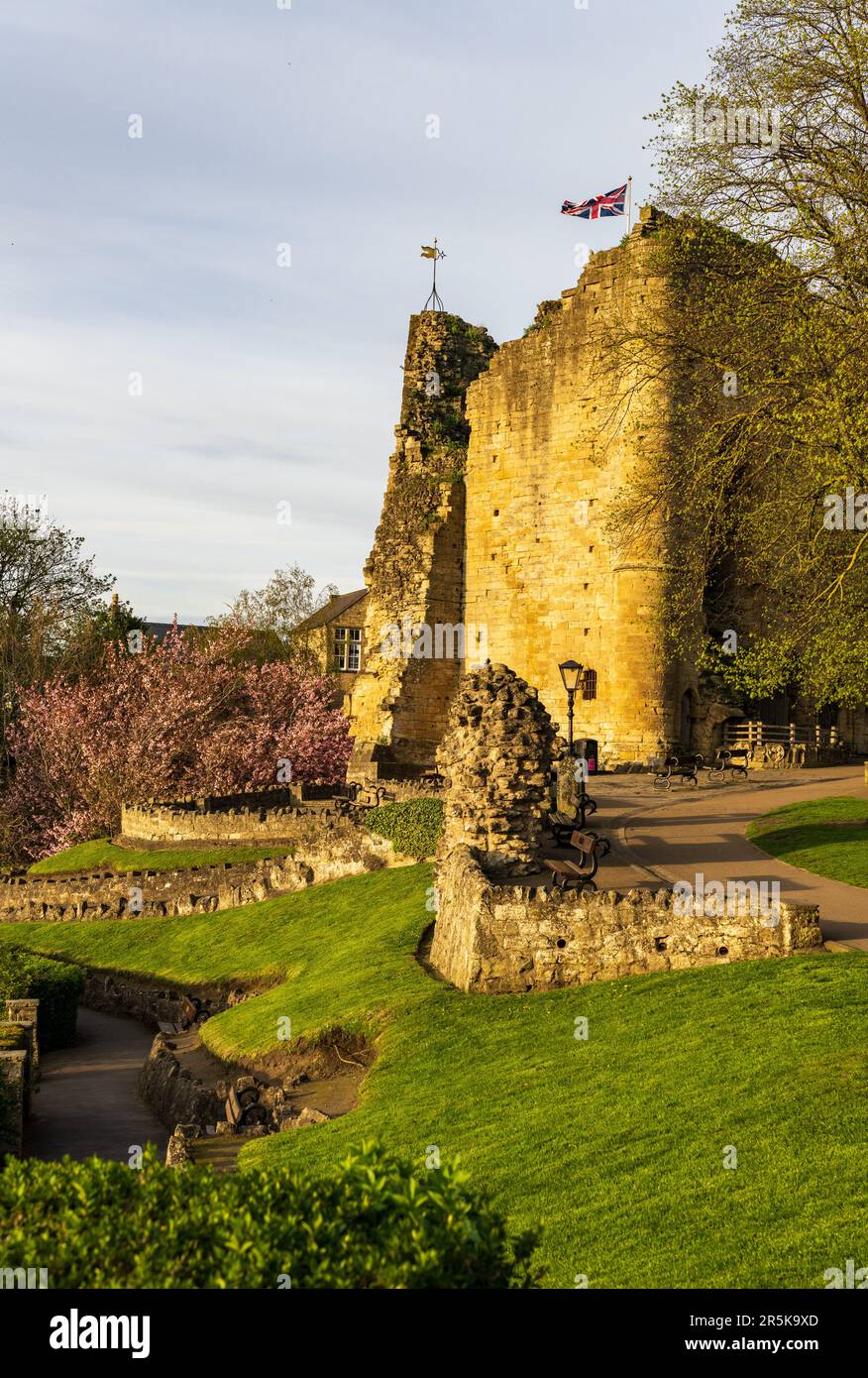 Ancient stone castle walls with keep overlooking river in Knaresborough ...