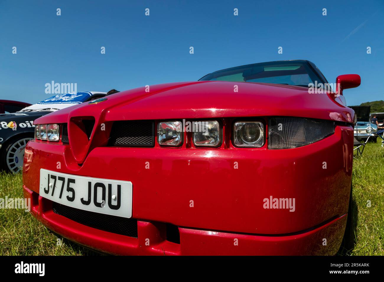 Alfa Romeo SZ 'Monster', Sprint Zagato, front detail, c1990. Classic ...