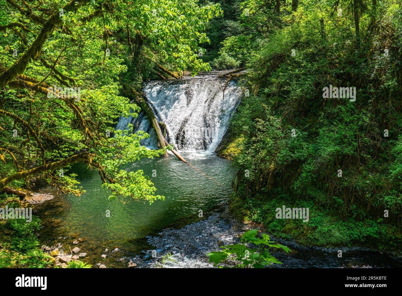 A landscape shot of Drake Falls at Silver Falls State Park in Oregon ...