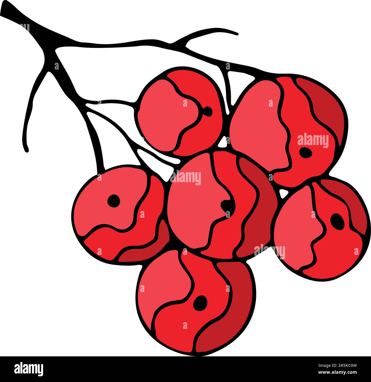 How to draw cranberries Stock Vector Images - Alamy