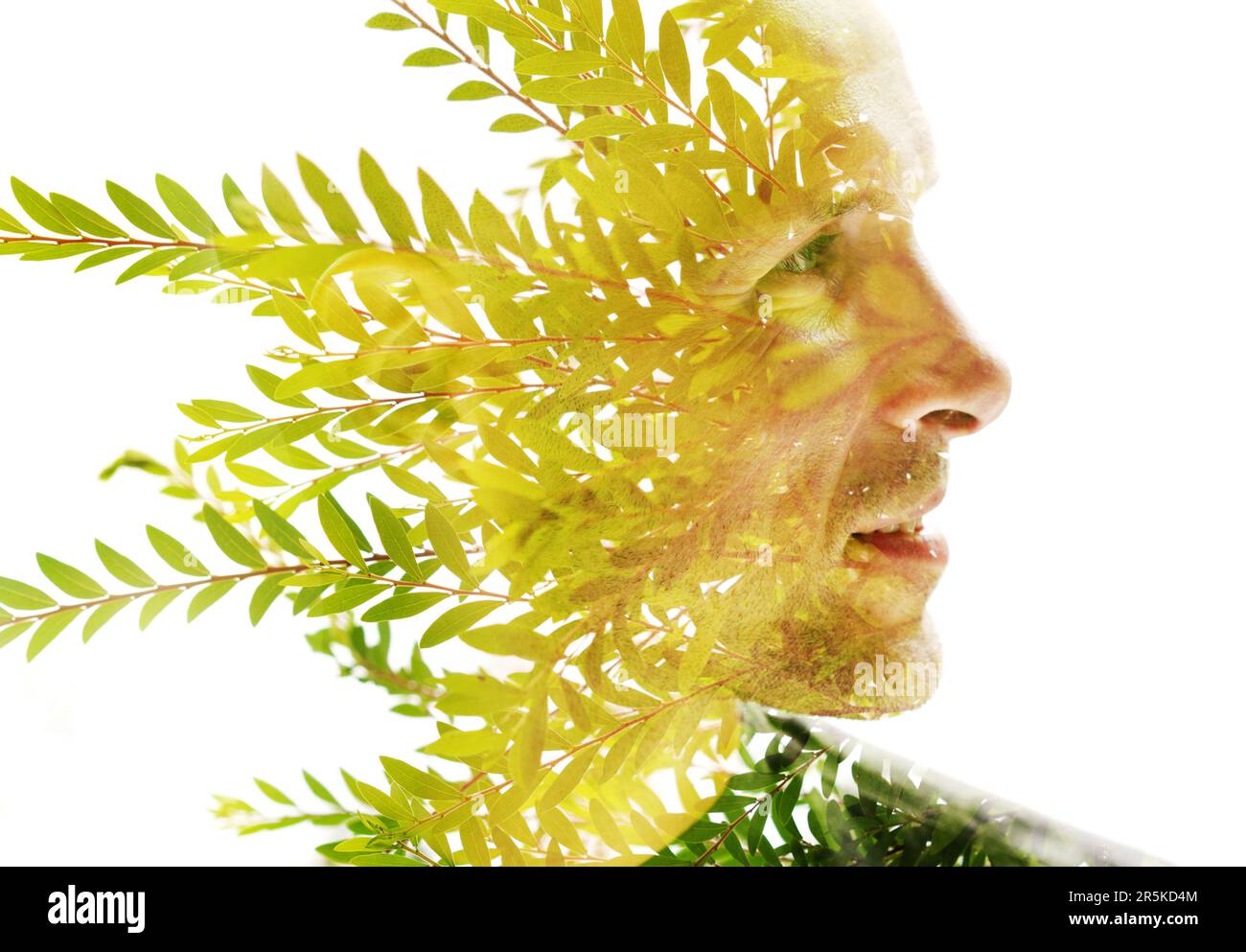 A double exposure profile portrait of a man and branches with green ...