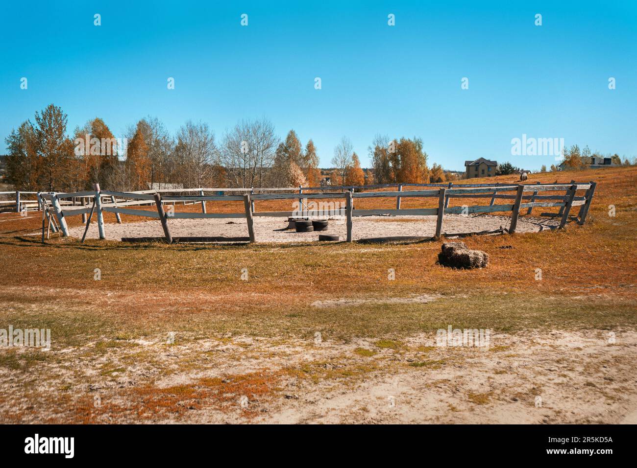 Animal pen on a horse farm with a wooden fence Stock Photo - Alamy