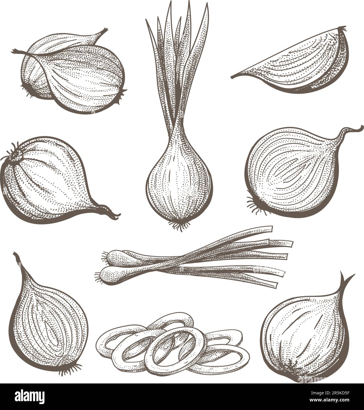 Outline engraving hi-res stock photography and images - Alamy