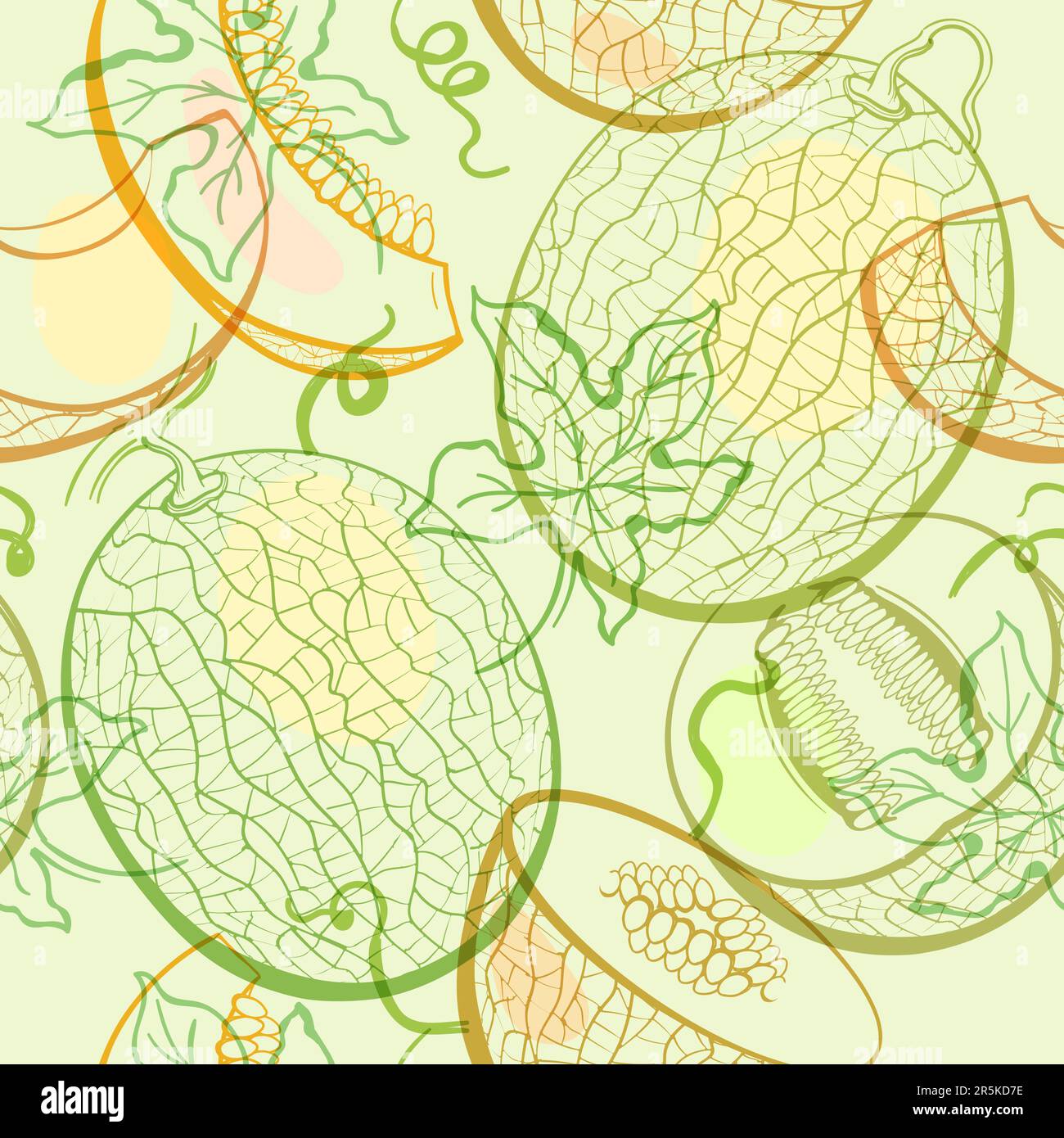 Ripe melons Stock Vector Images - Alamy