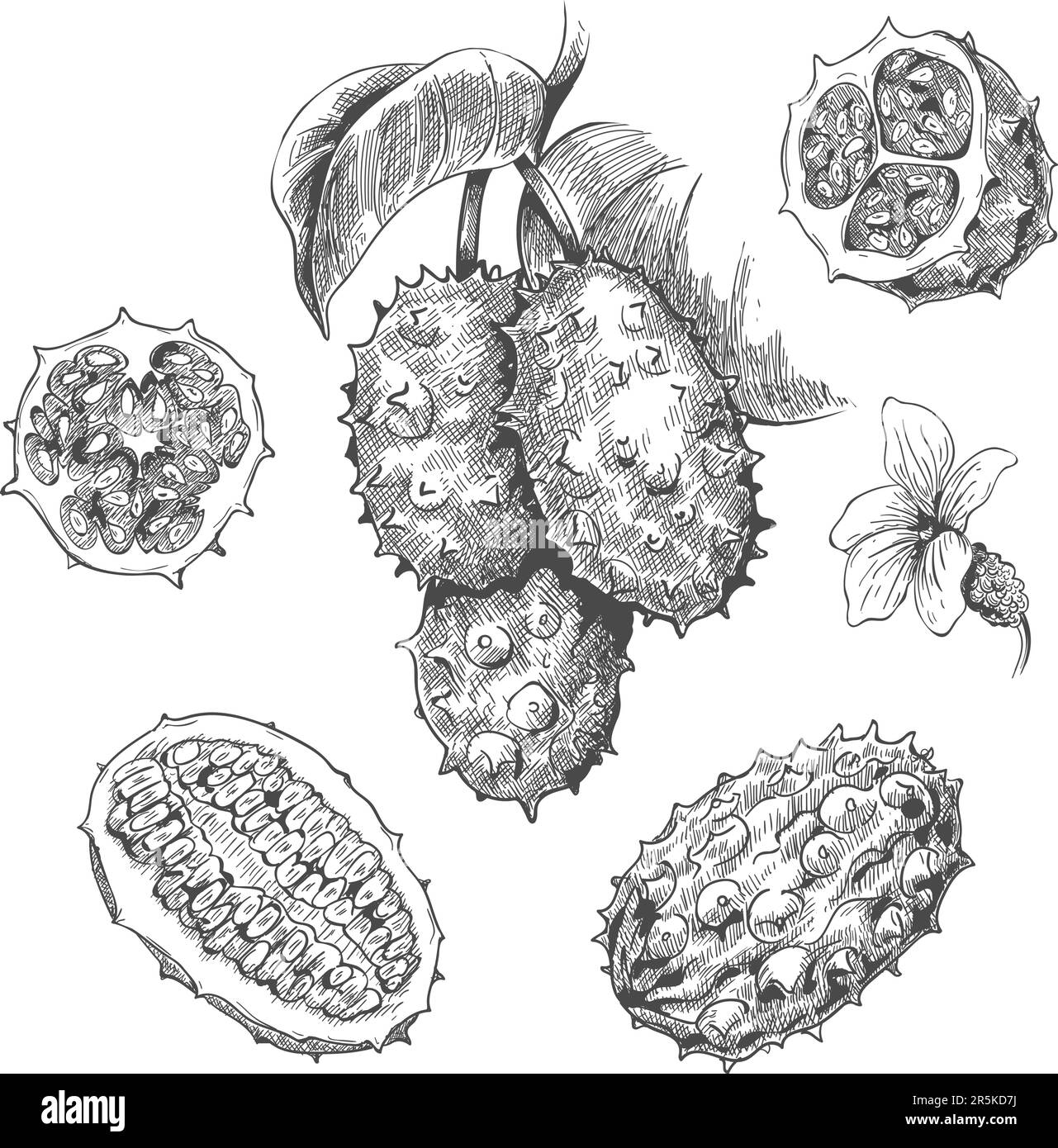 Food seeds hand Black and White Stock Photos & Images - Alamy
