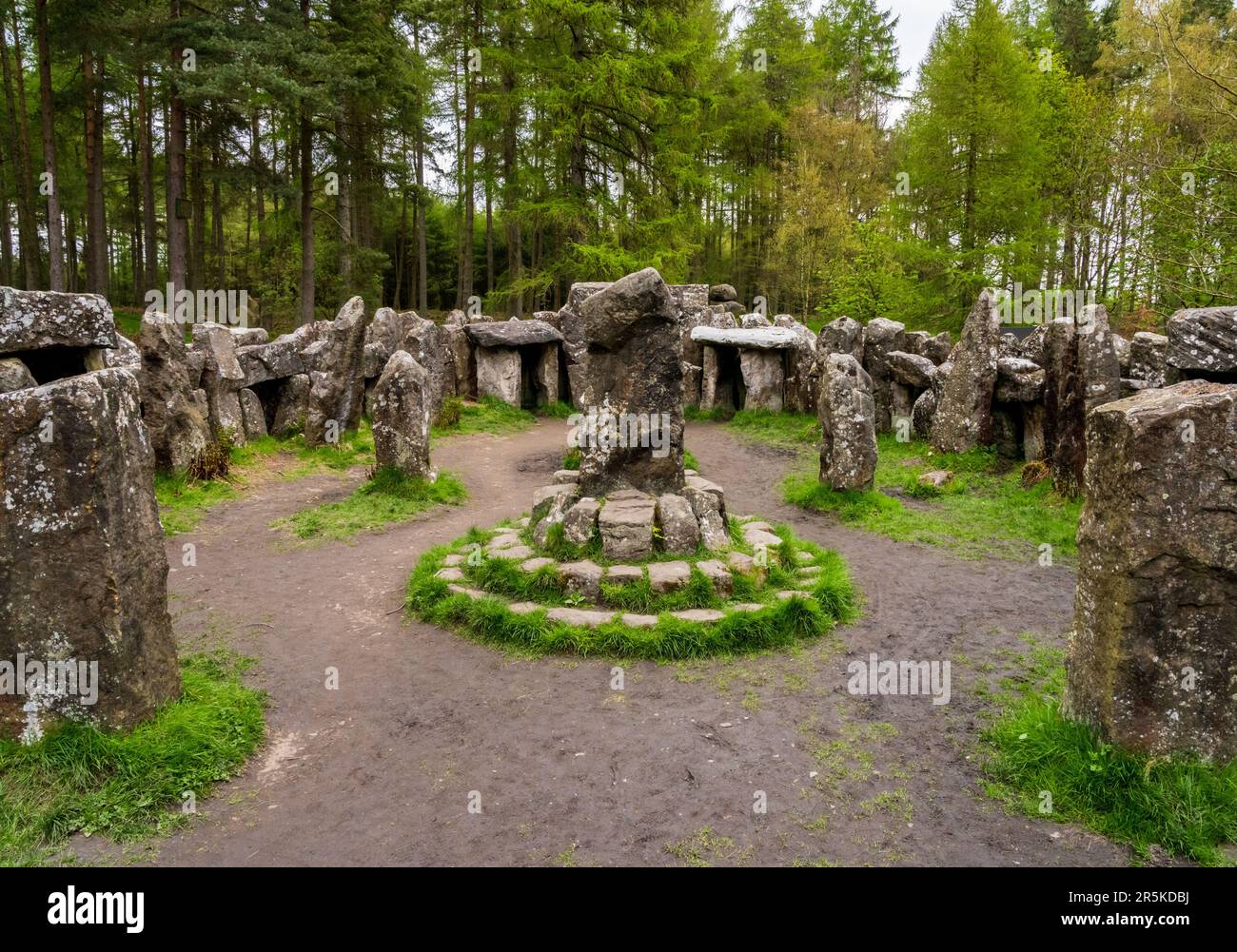 Victorian folly of Druids Plantation with standing stones created in ...