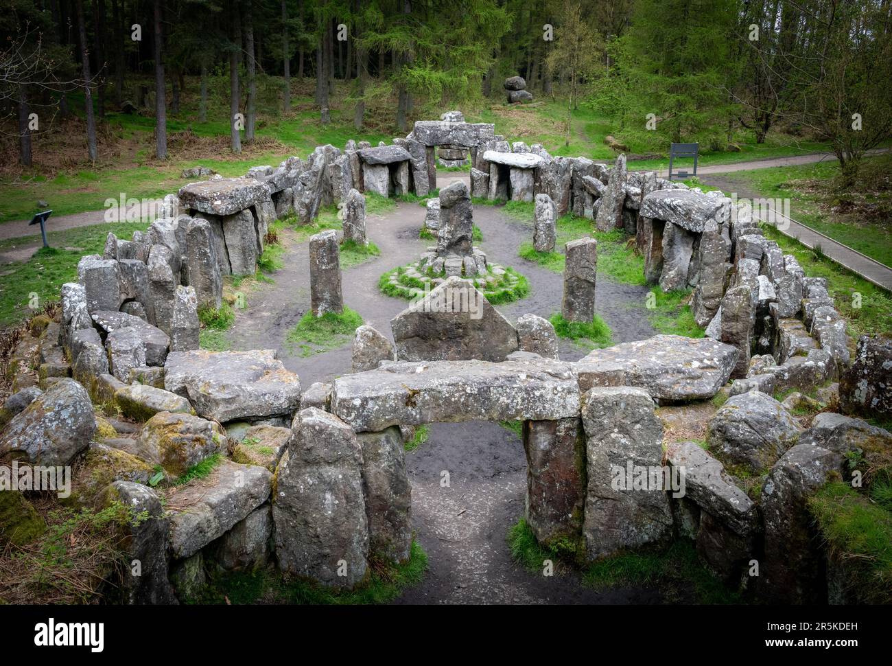 Victorian folly of Druids Plantation with standing stones created in ...