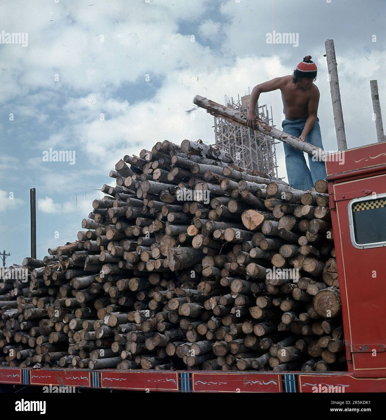 Lumber trade, wood industry, Tigre port, Buenos Aires province ...