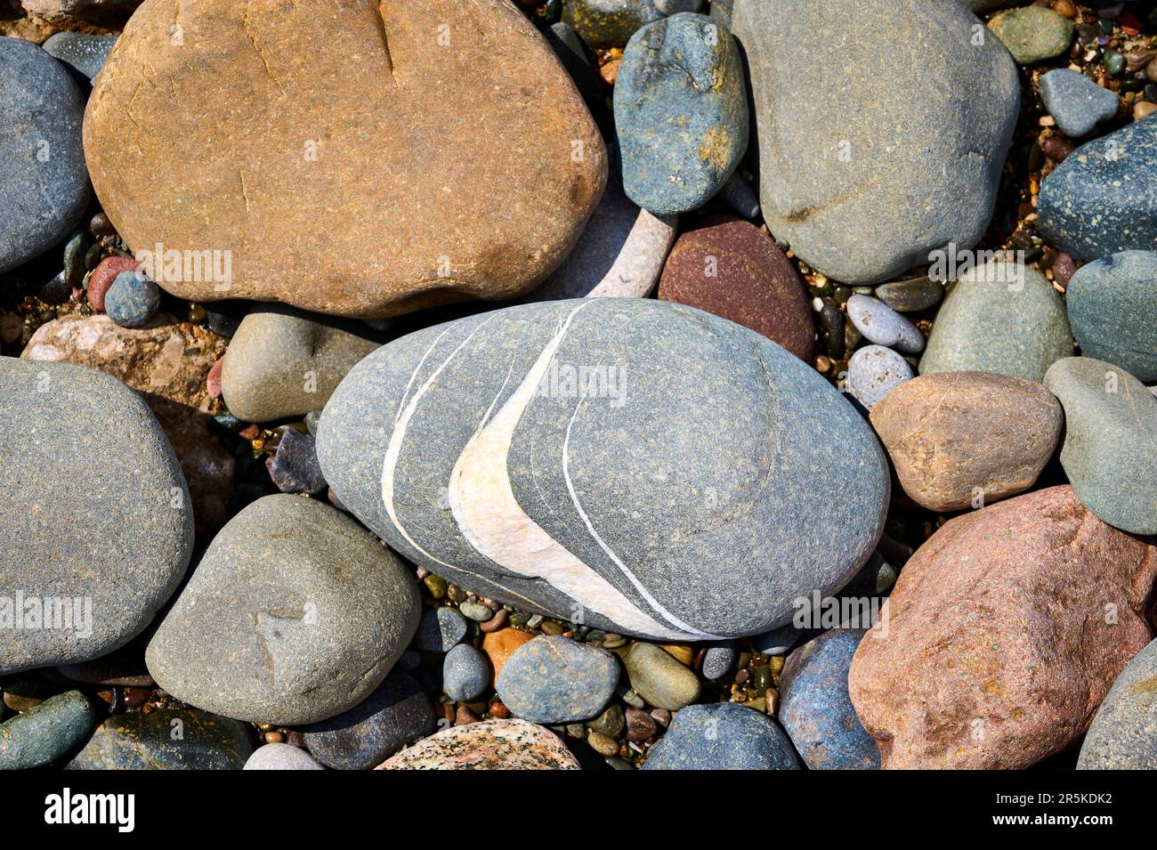 All shapes and sizes hi-res stock photography and images - Alamy