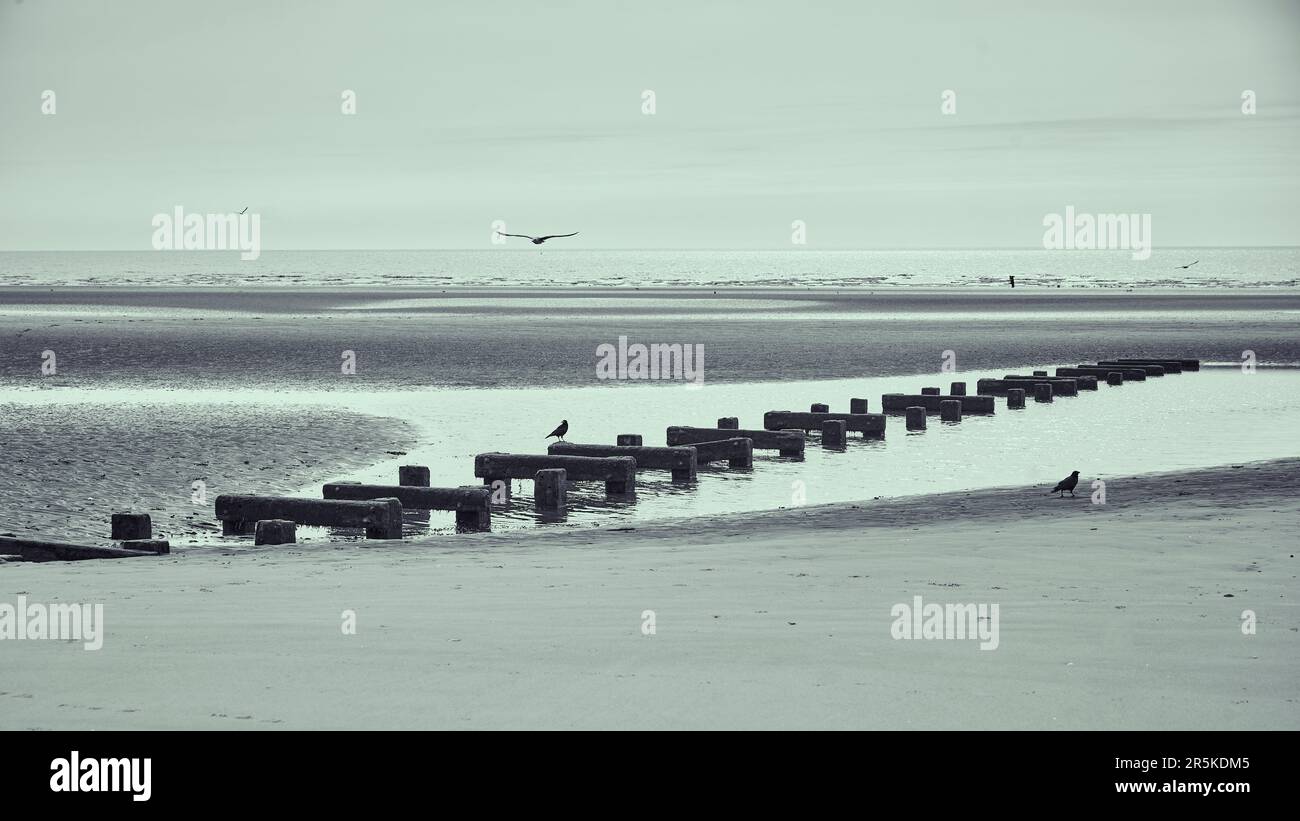 Wooden gtoyne on empty beach in Blackpool Stock Photo - Alamy